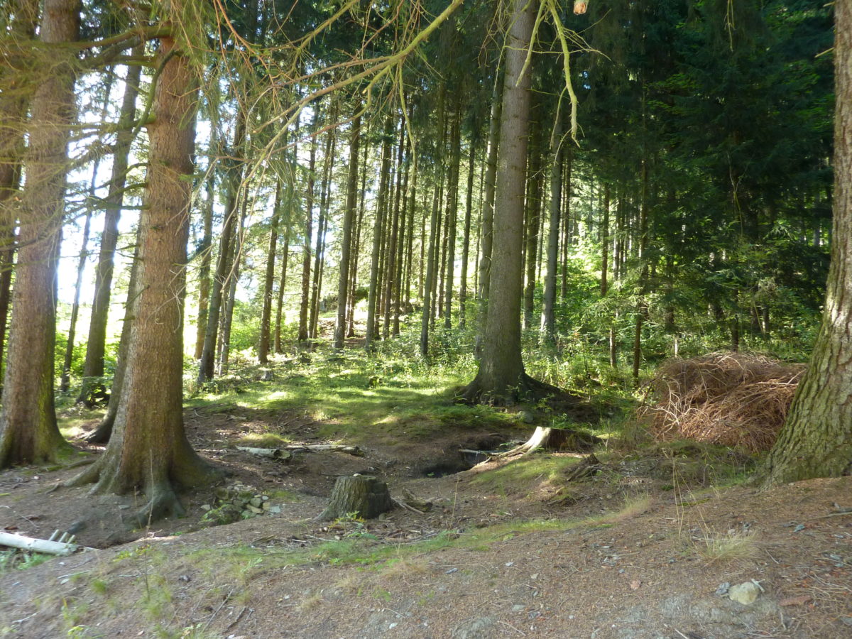 Wie ich offiziell zum Landei wurde - LIA